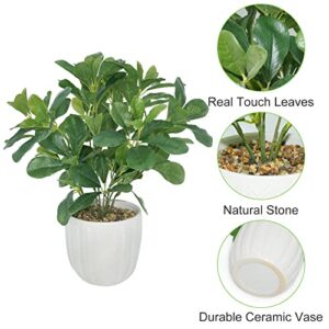 Hisow Artificial Potted Plant Leaves, 16.9" Artificial Shrubs Plants Arrangements Fake Eucalyptus Leaves with Vase Faux Greenery Leaves for Home Garden Table Centrepieces Garden Décor