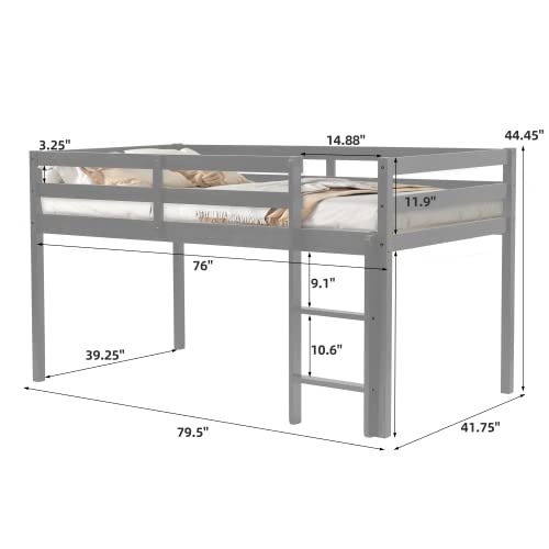 LoLado Loft Bed Twin,Loft Bed for Kids with Ladders and Guard Rails,Solid Wood and Sturdy Low Loft Bed Frame for Boys Girls and Junior,No Box Spring Needed,Easy to Assembly,Twin(Grey)