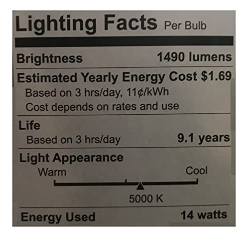 GE Garage Light 100-Watt EQ A19 Daylight LED Light Bulb (2-Pack)