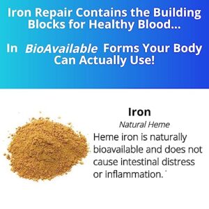 Iron Repair Simply Heme Iron Supplement, Best Absorption & Gentle on Stomach, Monash Low FODMAP, Raise Hemoglobin & Ferritin Iron Pills for Women, Teens, & Pregnancy 90 Gelatin Iron Capsules