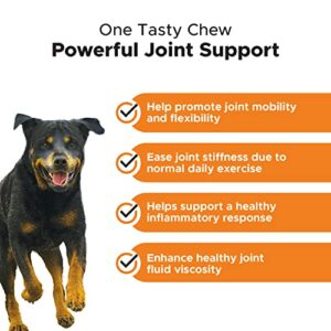 Pet Honesty Senior Dog Joint Supplement | Senior Hemp Mobility - Glucosamine for Dogs, Hemp Oil & Hemp Powder, Dog Joint Pain Relief - Turmeric, MSM, Green-Lipped Mussel, May Reduce Discomfort (180ct)