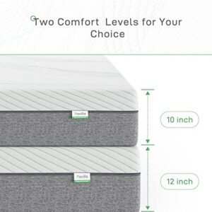 Novilla Queen Size Mattress, 10-Inch Gel Memory Foam Mattress for Cool Sleep, Pressure Relieving, Matrress-in-a-Box, CertiPUR-US Certified, Medium Plush