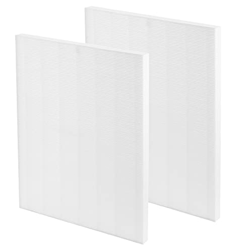 D480 Replacement Filter D4 Compatible with Winix D480 Air Purifier Ture HEPA Only, Item Number 1712-0100-00, D4 Filter 2 Pack