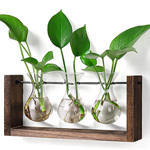 YIBOT Plants Propagation Stations Plant Terrarium with Wooden Stand Wall Hanging Glass Planter Desktop Plant Propagation Vase for Indoor Office Home Garden Decor Birthday Gifts for Women