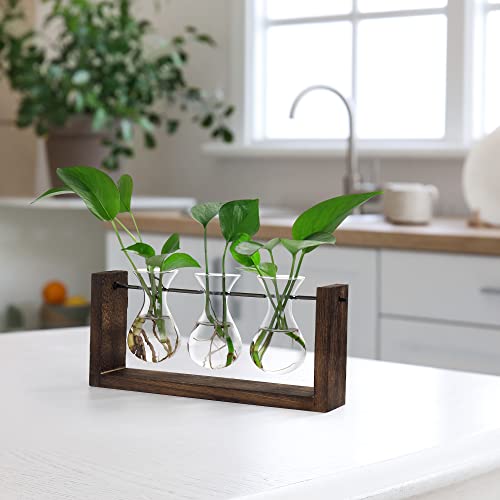 YIBOT Plants Propagation Stations Plant Terrarium with Wooden Stand Wall Hanging Glass Planter Desktop Plant Propagation Vase for Indoor Office Home Garden Decor Birthday Gifts for Women