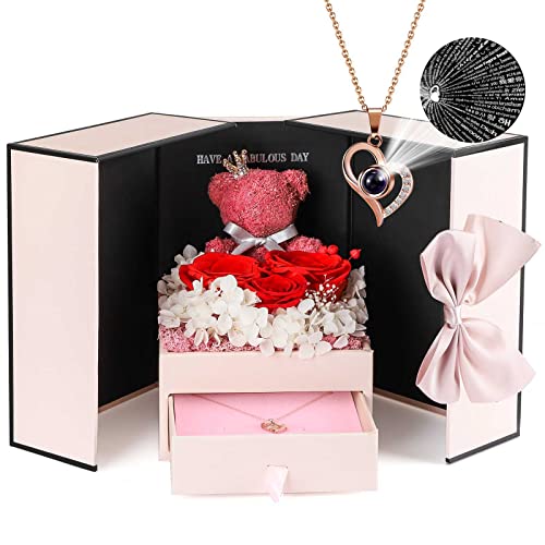 ADDWel Preserved Real Red Roses Gifts for Her, Cute Moss Bear and Meaningful Forever Roses with I Love You Necklace 100 Languages Present for Girlfriend Wife Mom from Husband Boyfriend Daughter Son