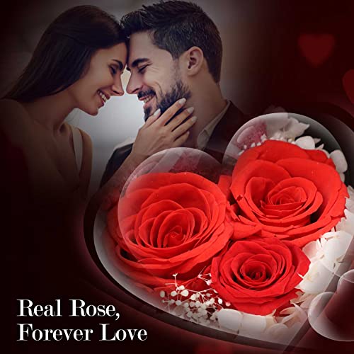 ADDWel Preserved Real Red Roses Gifts for Her, Cute Moss Bear and Meaningful Forever Roses with I Love You Necklace 100 Languages Present for Girlfriend Wife Mom from Husband Boyfriend Daughter Son