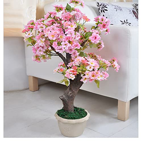 50+ Rare Cherry Blossoms Seeds for Planting - Dwarf Pink Sakura Weeping Cherry Apple Blossom Bonsai Tree Seeds for Garden/Indoor/Outdoor