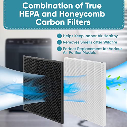 116130 Filter H Replacement for Winix 5500-2 Air Purifier Filter Replacement - Compatible Winix Air Purifier 5500 Filter Fits Winix Filter 5500-2 - Pack of 2 HEPA Filter + 2 Activated Carbon Filters