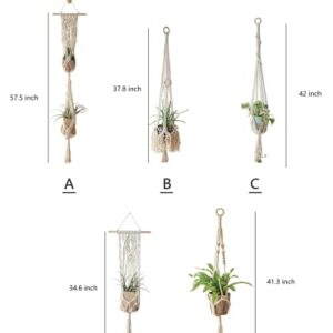 WXS-CHALL 5 Pack Macrame Plant Hangers Hanging Planter, Cotton Rope Hanging Plant Holders Decorative Flower Pots Indoor Outdoor Boho Home Decor (5 Size and 10 Hooks)