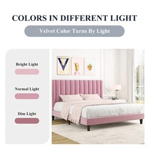 Allewie Full Bed Frame/Velvet Upholstered Bed Frame with Vertical Channel Tufted Headboard/Strong Wooden Slats/Platform Bed Frame/Mattress Foundation/Box Spring Optional/Easy Assembly/Pink…