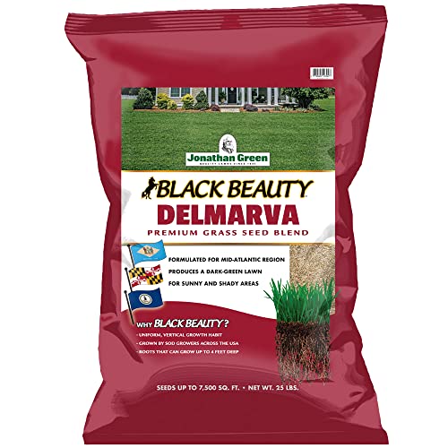 Jonathan Green (10392) Black Beauty Delmarva Grass Seed (Made for Maryland, Delaware, Virginia) - Cool Season Lawn Seed (25 lb)