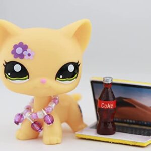 Junior Pet Shop lps Cat 1962, lps Shorthair Cat Yellow Body Purple Flower Kitten with lps Accessories Necklace Laptop Coke Kids Gift