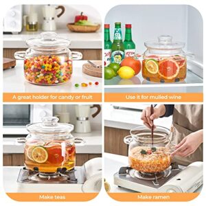 3-Quart Glass Stock Pot,Glass Pitcher，Stockpot, Stew Pot, Simmering Pot, Soup Pot with Lid, Dishwasher Safe