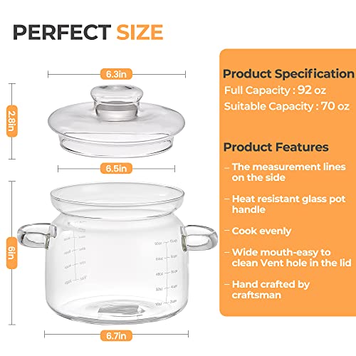 3-Quart Glass Stock Pot,Glass Pitcher，Stockpot, Stew Pot, Simmering Pot, Soup Pot with Lid, Dishwasher Safe