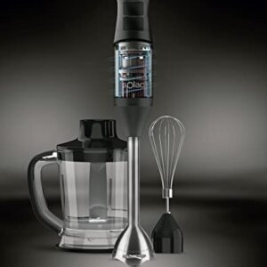 Solac Professional 1000W* Stainless Steel Hand Blender w/Accessories Kit,Standard,SJK-1172