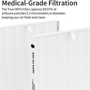 3 Packs 115115 True HEPA Replacement Filter A Compatible with Winix PlasmaWave C535, 5300-2, 6300-2, 5300, 6300, P300,9000, 5000, 5000B Purifier Fellowes AeraMax 290 300 DX95 with 9 Carbon Pre-filters