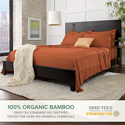 URE Bamboo Queen Pillowcase 2pc Set (20x30 inch) - Genuine 100% Organic Bamboo Viscose, Luxuriously Soft & Cooling, Double Stitching, Envelope Closure (2 Queen Pillowcases, Terracotta)