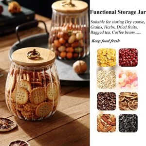 Viovian Glass Coffee Nuts Canister 750ml(25FL OZ) Glass Jars with Bamboo Lids Glass Candy Jars with Lids Petal Decorative Airtight Storage Container for Nuts Coffee Beans Cookies (Oval)