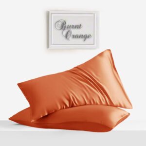 LINENWALAS 100% Organic Bamboo Silk Pillow Cases Standard Size, 2 Pack Soft, Breathable, Cooling Pillowcases Set Queen Size with Envelop Closure for Halloween (Burnt Orange, 20x30 Inches)