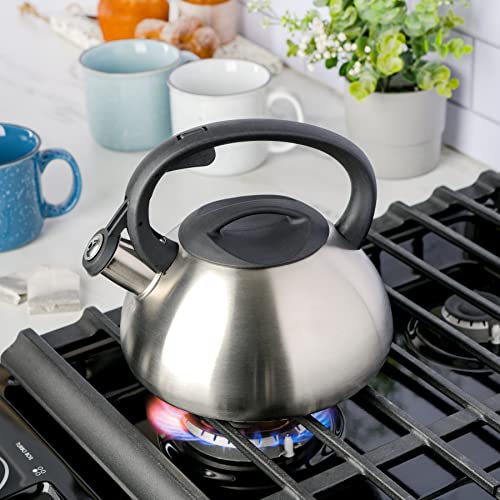 Mr Coffee Harpwell Stainless Steel Whistling Tea Kettle, 1.8-Quart, Brushed Stainless Steel