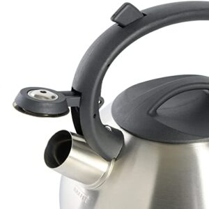 Mr Coffee Harpwell Stainless Steel Whistling Tea Kettle, 1.8-Quart, Brushed Stainless Steel