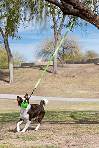 Jolly Pets Tree Tugger For Dog, Green