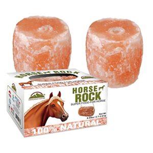 himalayan nature horse rock salt, animal lick salt - 8lbs, elk