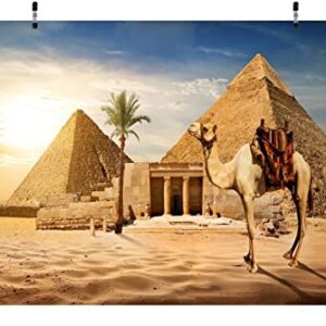 BELECO 9x6ft Fabric Egypt Pyramids Backdrop Photography Ancient Egyptian Pyramid Camel Backdrop Giza Desert Scene Coconut Tree Sunset Sky Scenery Room Decor Africa Desert Travel Portrait Photo Props