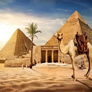 BELECO 9x6ft Fabric Egypt Pyramids Backdrop Photography Ancient Egyptian Pyramid Camel Backdrop Giza Desert Scene Coconut Tree Sunset Sky Scenery Room Decor Africa Desert Travel Portrait Photo Props