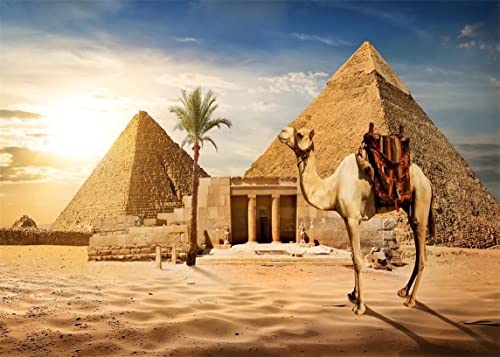 BELECO 9x6ft Fabric Egypt Pyramids Backdrop Photography Ancient Egyptian Pyramid Camel Backdrop Giza Desert Scene Coconut Tree Sunset Sky Scenery Room Decor Africa Desert Travel Portrait Photo Props