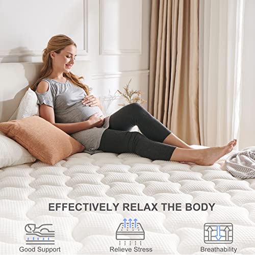 JINGWEI King Mattress, 12 Inch Innerspring Hybrid Mattress in a Box, Individually Pocket Coils for Motion Isolation & Cool Sleep, King Bed for Back Pain, Medium Firm, King Size Mattress