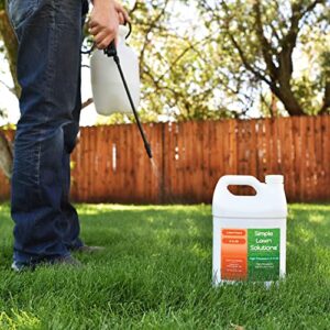 Simple Lawn Solutions - High Potassium Lawn Food Liquid Fertilizer 0-0-25 - Concentrated Spray - Turf Grass Vigor and Plant Hardiness - Summer and Fall - Any Grass Type (1 Gallon)