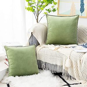 GAWAMAY Solid Soft Velvet Farmhouse Spring Black Pillow Covers 18x18 Set of 2,Decorative Green Throw Pillows with Chenille Edge,Square Boho Couch Pillows for Living Room Sofa Couch Beding(45x45cm)