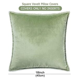 GAWAMAY Soft Gold Velvet Farmhouse Spring Pillow Covers 18x18 Set of 2,Decorative Green Throw Pillows with Chenille Thread Edge,Square Boho Couch Pillows for Living Room Sofa Couch Beding(45x45cm)