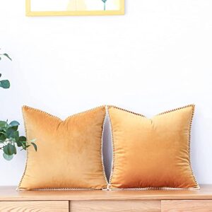 GAWAMAY Soft Gold Velvet Farmhouse Spring Pillow Covers 18x18 Set of 2,Decorative Green Throw Pillows with Chenille Thread Edge,Square Boho Couch Pillows for Living Room Sofa Couch Beding(45x45cm)