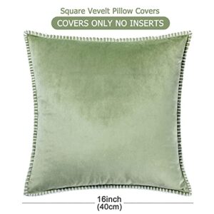 GAWAMAY Set of 2 Fall Decorative Solid Soft Velvet Gold Throw Pillow Covers with Chenille Edge Boho Accent Square Green Cushion Case for Couch Sofa Living Room Beding Outdoor 16 x 16 Inch (40x40cm)