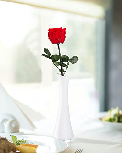 Preserved Rose, Preserved Flowers for Delivery Prime, Single Rose Flower Gifts for Women, Real Rose Gifts for Her, Birthday Gifts, Valentines Flowers for Girlfriend - Red Rose