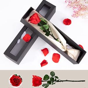 Preserved Rose, Preserved Flowers for Delivery Prime, Single Rose Flower Gifts for Women, Real Rose Gifts for Her, Birthday Gifts, Valentines Flowers for Girlfriend - Red Rose