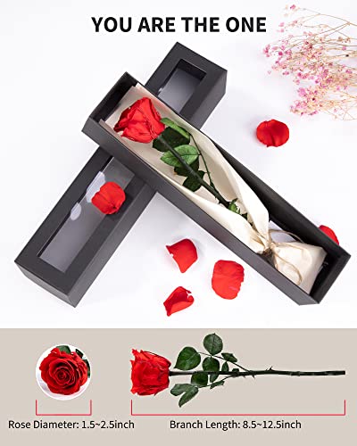 Preserved Rose, Preserved Flowers for Delivery Prime, Single Rose Flower Gifts for Women, Real Rose Gifts for Her, Birthday Gifts, Valentines Flowers for Girlfriend - Red Rose