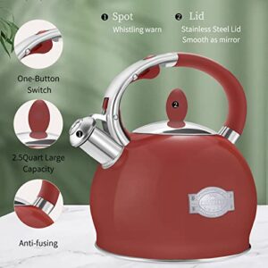 RETTBERG Tea Kettle for Stovetop Whistling Tea Kettles Retro Black Stainless Steel Teapots, 2.64 Quart (Red2)