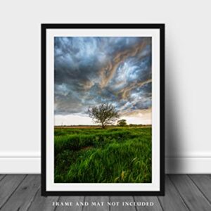 Great Plains Photography Print (Not Framed) Vertical Picture of Tree Under Stormy Sky on Spring Day in Kansas Prairie Wall Art Nature Decor (4" x 6")