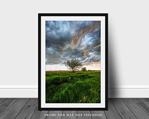 Great Plains Photography Print (Not Framed) Vertical Picture of Tree Under Stormy Sky on Spring Day in Kansas Prairie Wall Art Nature Decor (4" x 6")