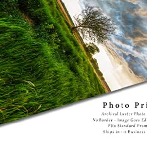 Great Plains Photography Print (Not Framed) Vertical Picture of Tree Under Stormy Sky on Spring Day in Kansas Prairie Wall Art Nature Decor (4" x 6")