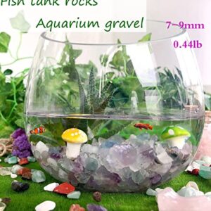 Fluorite Aquarium Gravel Rocks Natural Tumbled Healing Crystal Chips Bulk Gemstones Tumbled Crushed Stones for Fountain Vase Filler Planters Decorative Fish Tank Potted Reiki Energy Balancing 0.44lb