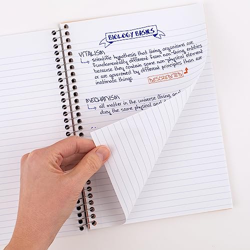 Five Star Small Spiral Notebook, 2 Subject, College Ruled Paper, 9-1/2" x 6", 100 Sheets, Gray (840004AA3)