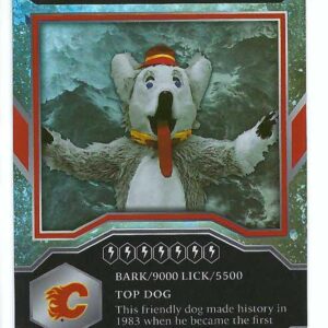 HARVEY THE HOUND 2021-22 Upper Deck MVP Mascot Gaming Card #M-5 Card Calgary Flames Hockey