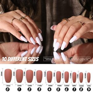 12 Packs (288PCS) Matte Press on Nails Medium Length, FANDAMEI Ballerina Coffin Acrylic Short Fake Nails Full Cover with 10g Nail Tips Glue, 12 Color False Nails for Nail Art DIY