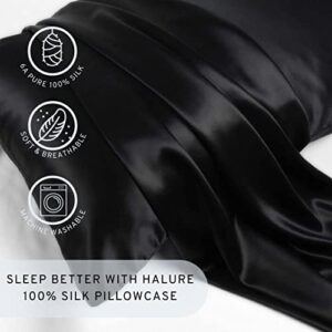 HALURE 100% Mulberry Silk Pillowcase for Hair and Skin, Queen Size Silk Pillowcase, 20" x 30", Soft Smooth and Hypoallergenic Cooling Pillow Cases with Envelope Closure, 1pc, Black