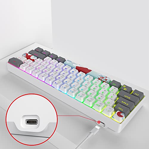 Owpkeenthy RGB Mechanical Keyboard 60 Percent Red Switches, Ultra-Compact Mini Wired Gaming Keybaord with Backlit PBT Dye-Sub Keycaps for Win/Mac/PC (White/Red Switch)